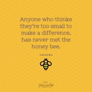Motivational Mondays with Trisha: Bees – Magnify Your Style